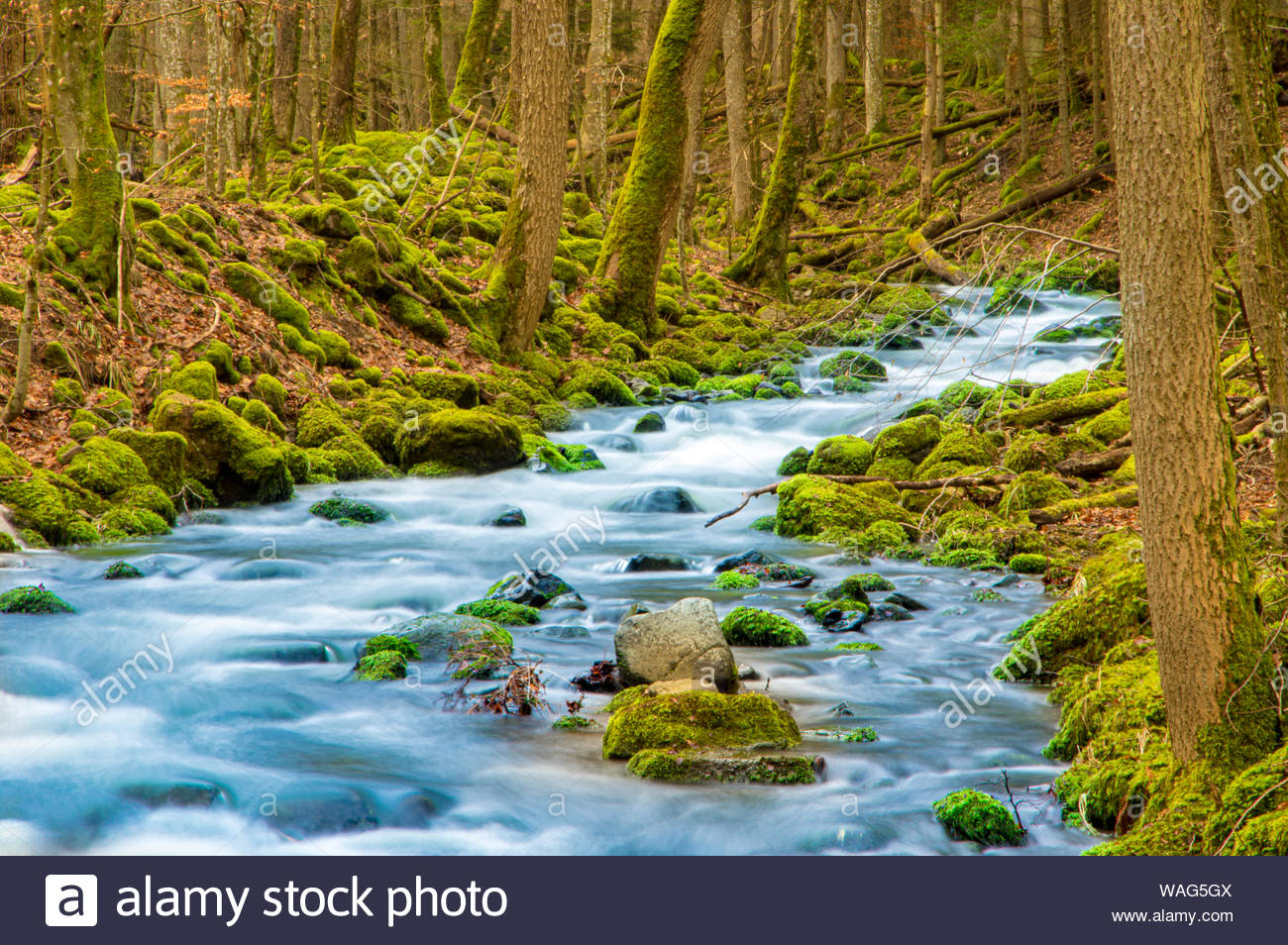 Wald Bach High Resolution Stock Photography and Images - Alamy