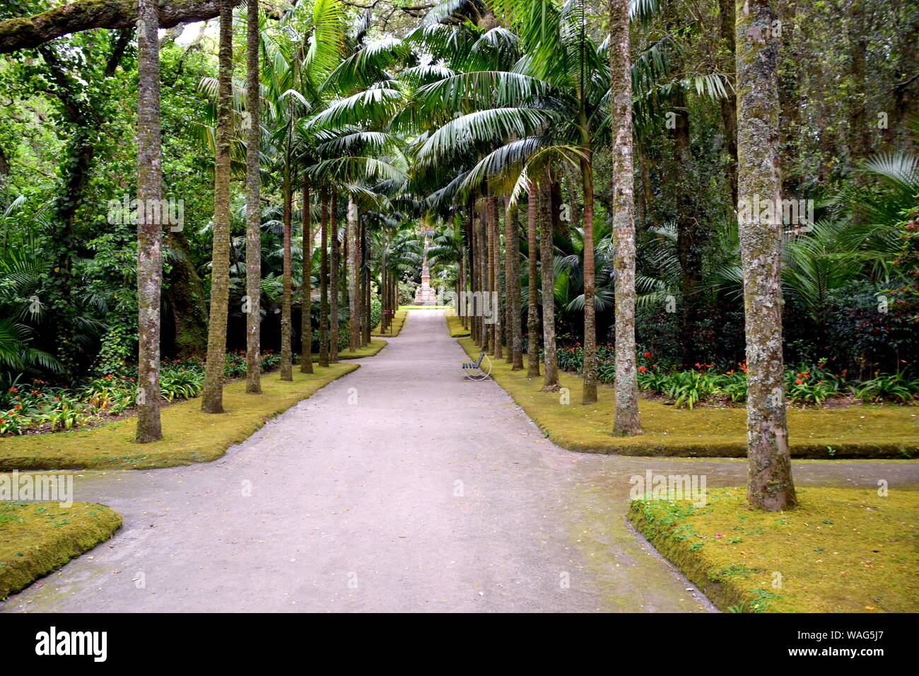 Terra Nostra botanical garden at Furnas, Azores, Portugal Stock Photo ...