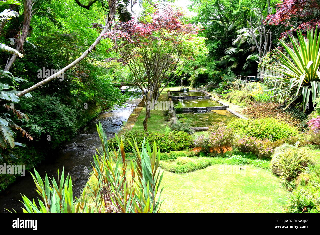 Terra Nostra botanical garden at Furnas, Azores, Portugal Stock Photo ...
