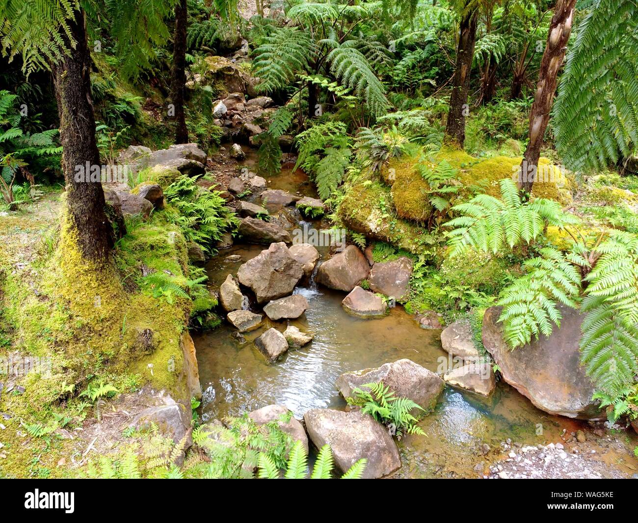The azores natural pools hi-res stock photography and images - Alamy