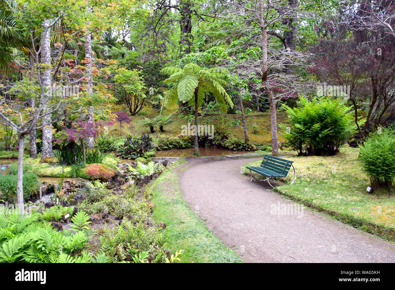 Terra Nostra botanical garden at Furnas, Azores, Portugal Stock Photo ...