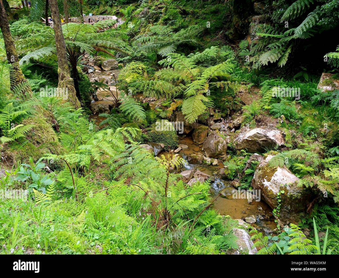 Portuguese thermal pools hi-res stock photography and images - Alamy