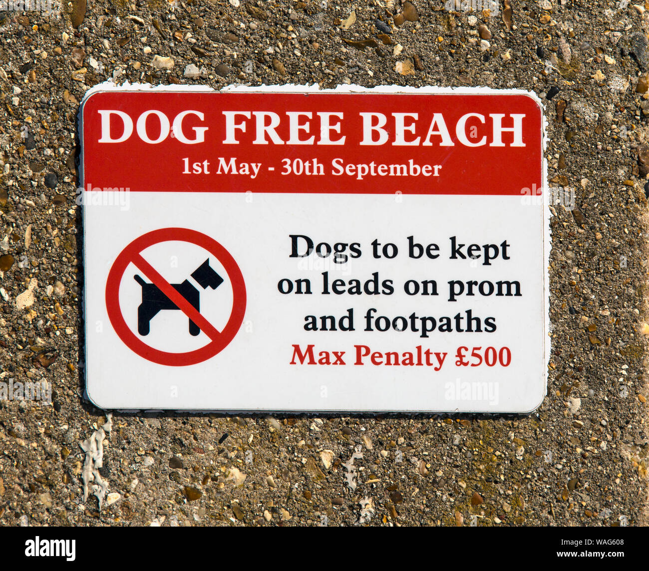Dog free beach sign Stock Photo - Alamy