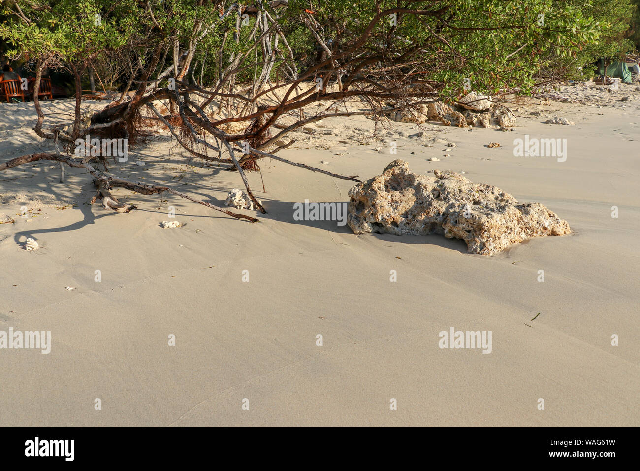 Strange thing on a sand beach in Indonesia. Beautiful tropical sea and ...