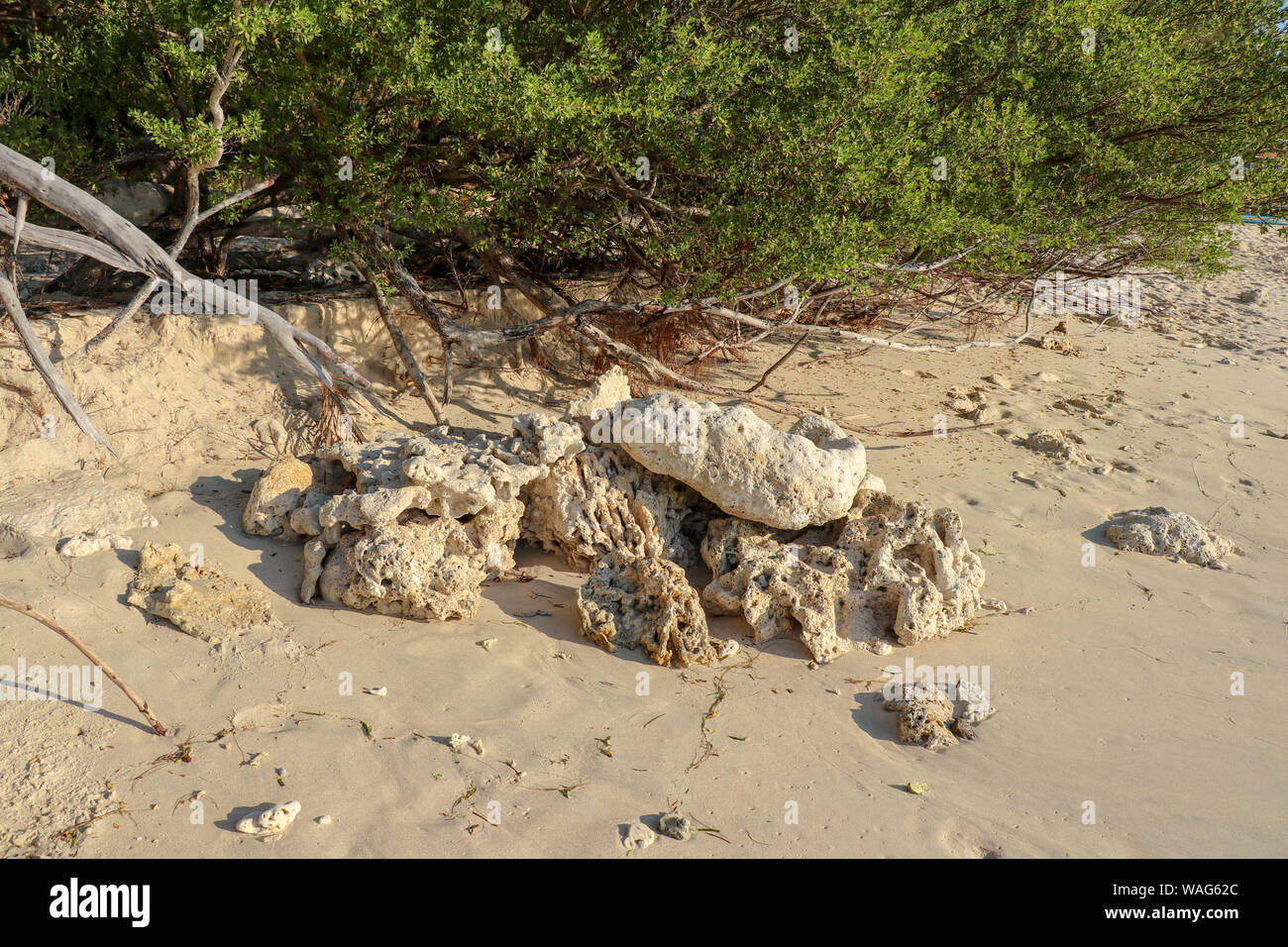 Strange thing on a sand beach in Indonesia. Beautiful tropical sea and ...