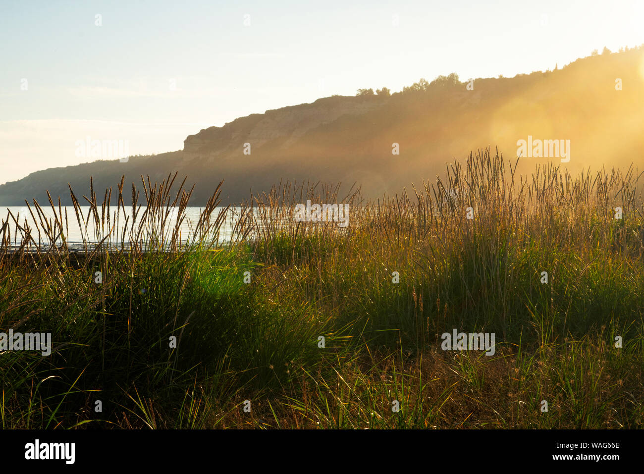 Majestic light rays light up the beach and local flora on the Homer ...