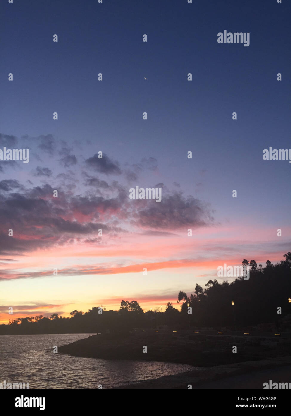 Purple forest hi-res stock photography and images - Alamy