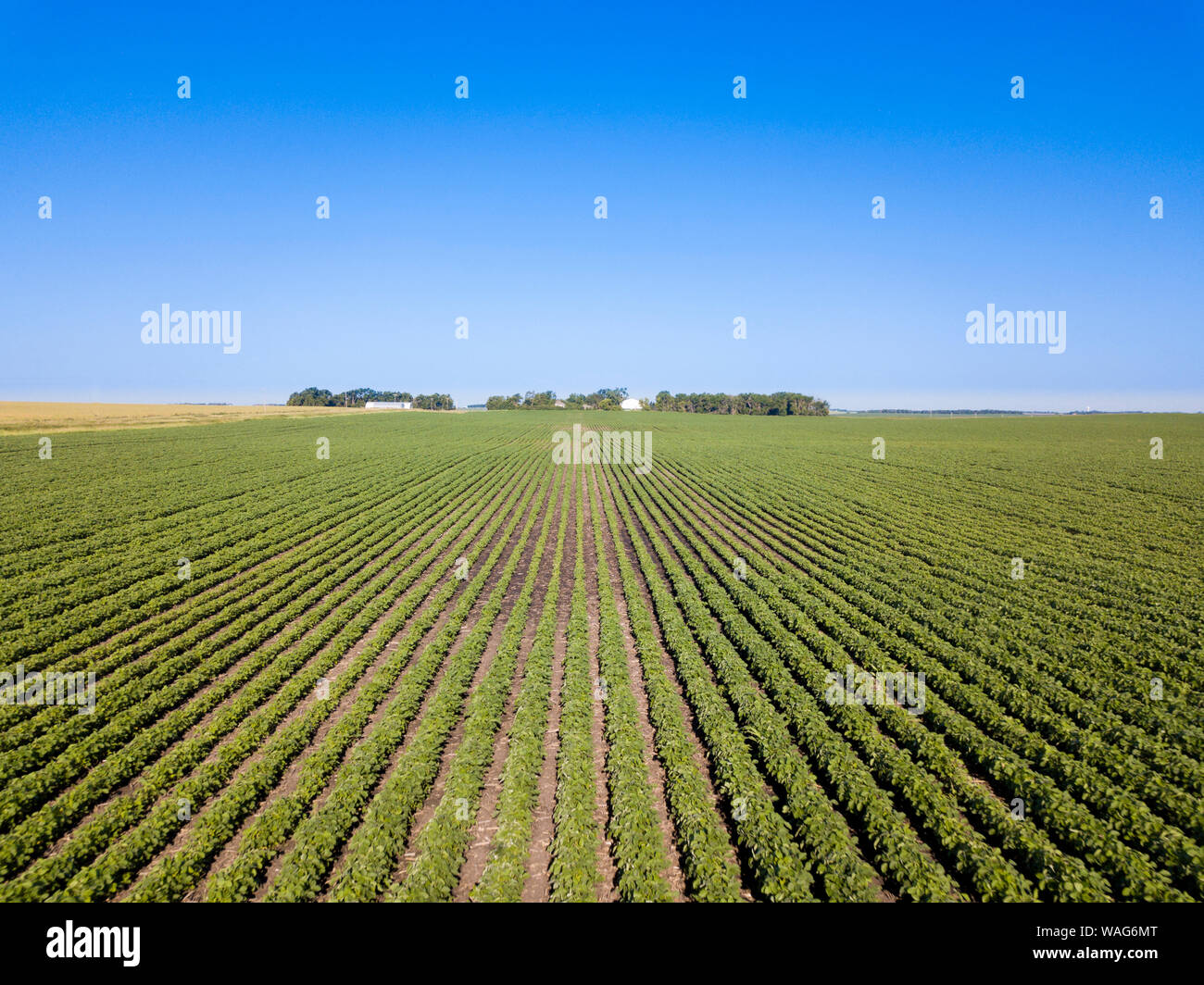 Low aerial flyover hi-res stock photography and images - Alamy