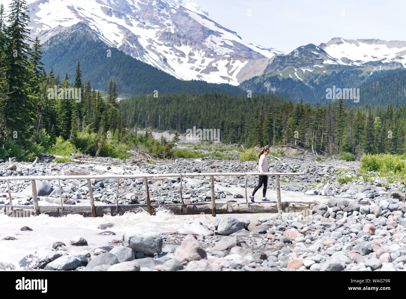Hiker is crossing raging river over the log bridge in Washington Stock ...