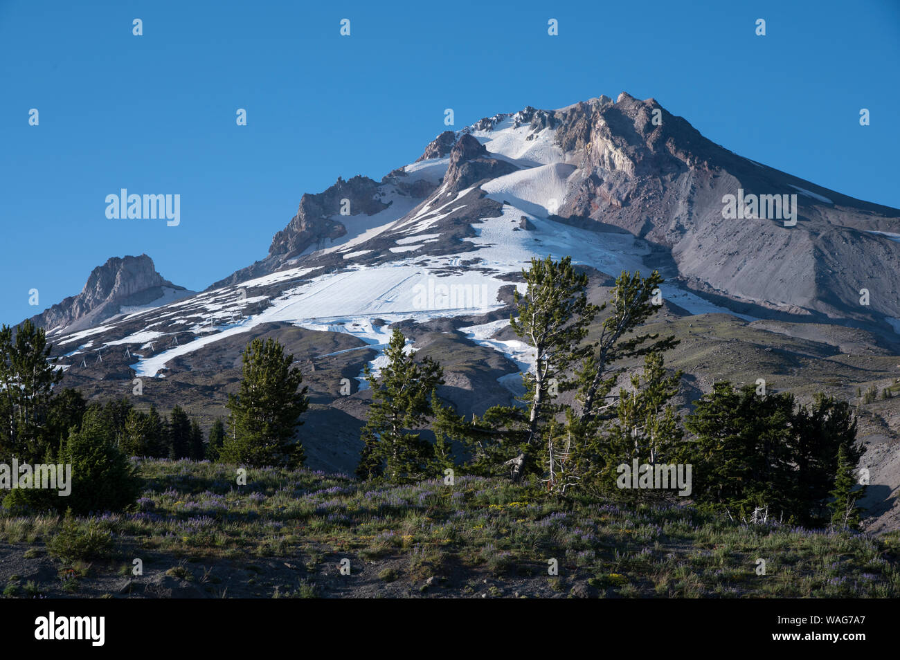 Mt hood hi-res stock photography and images - Alamy