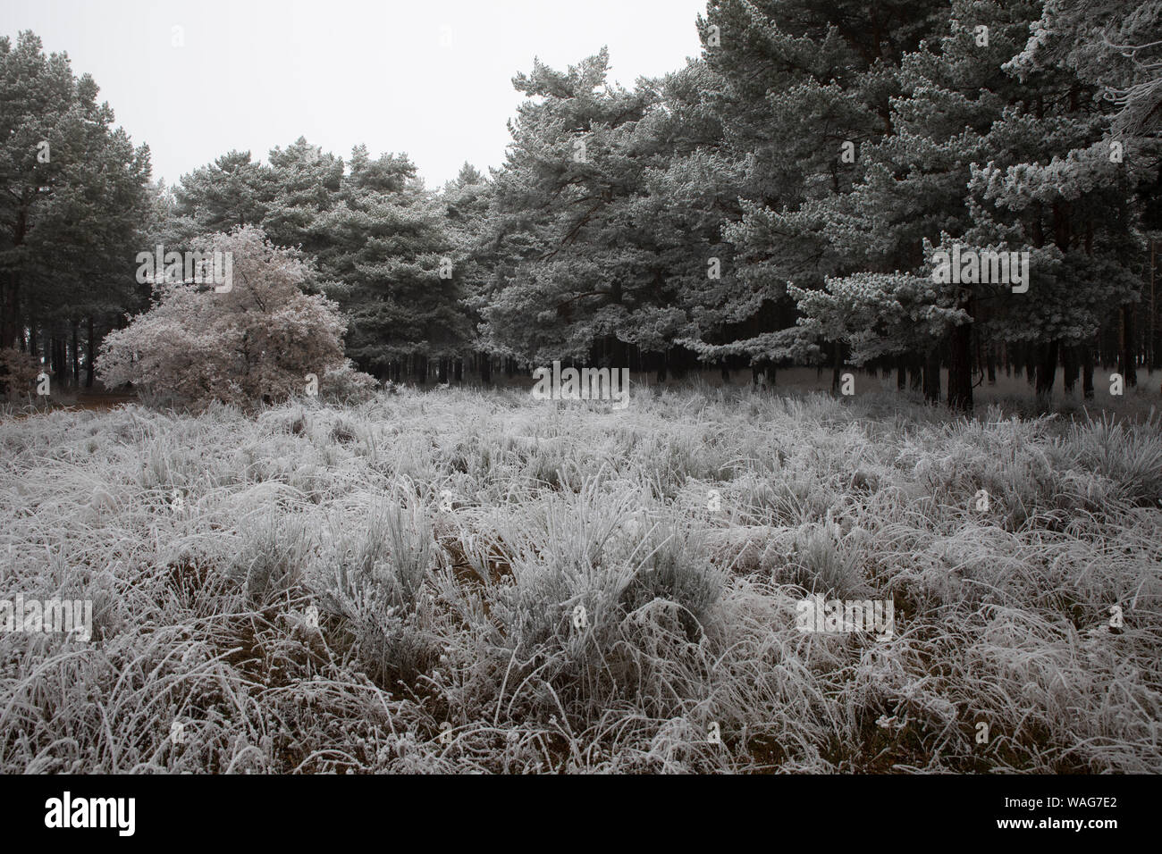 Winter weather scene hi-res stock photography and images - Alamy