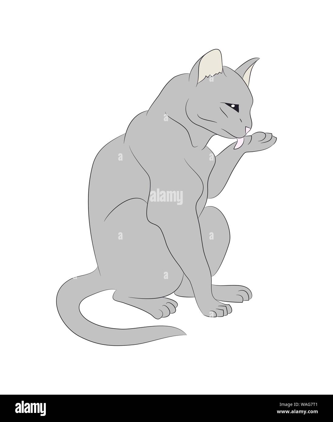 Cat cleaning itself cartoon hi-res stock photography and images - Alamy