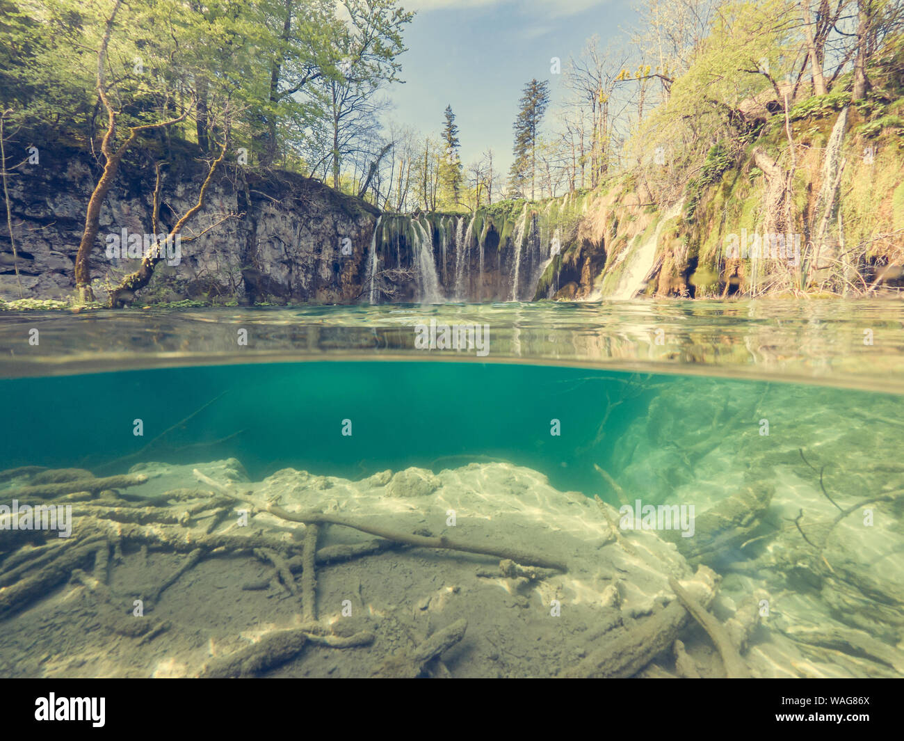 Amazing split view of lake with sunken tree trunk. Plitvice national ...