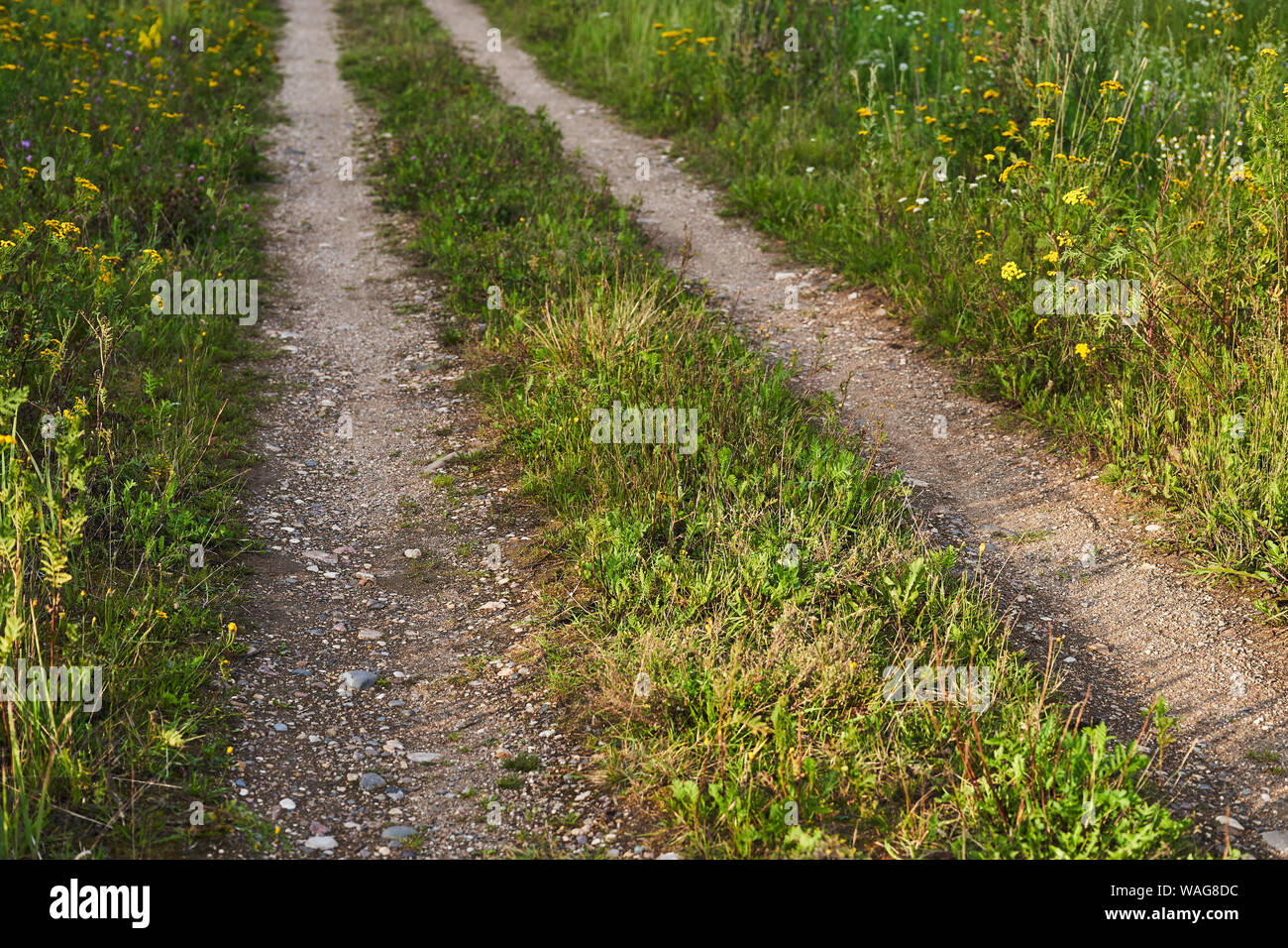 Old dirt road hi-res stock photography and images - Alamy