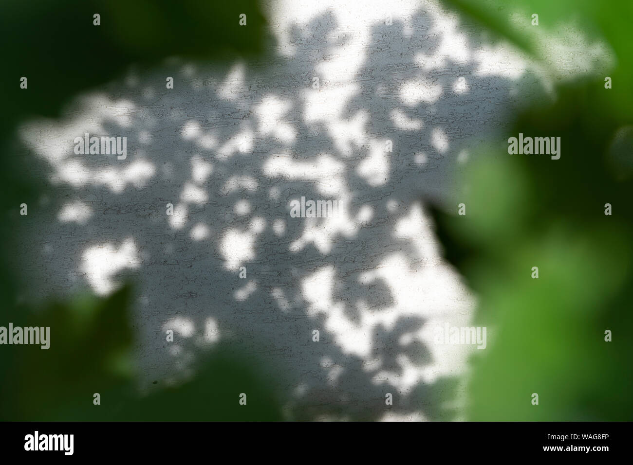 Shadows cast hi-res stock photography and images - Alamy