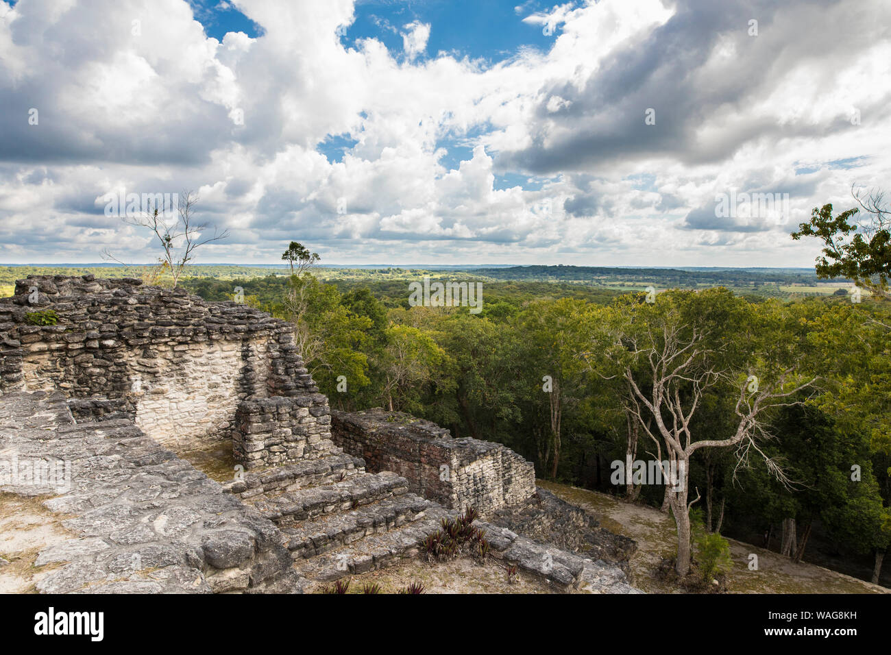 View of the jungle from the top of the Mayan ruins of Kinichna Stock ...