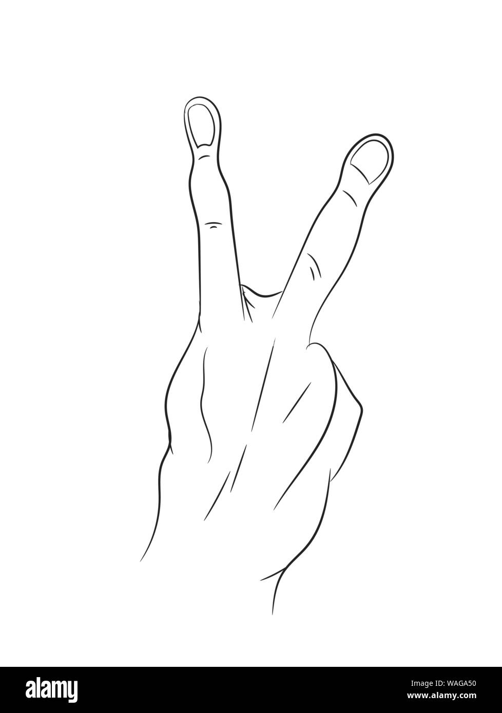 hand drawn lines, white background Stock Vector Image & Art - Alamy