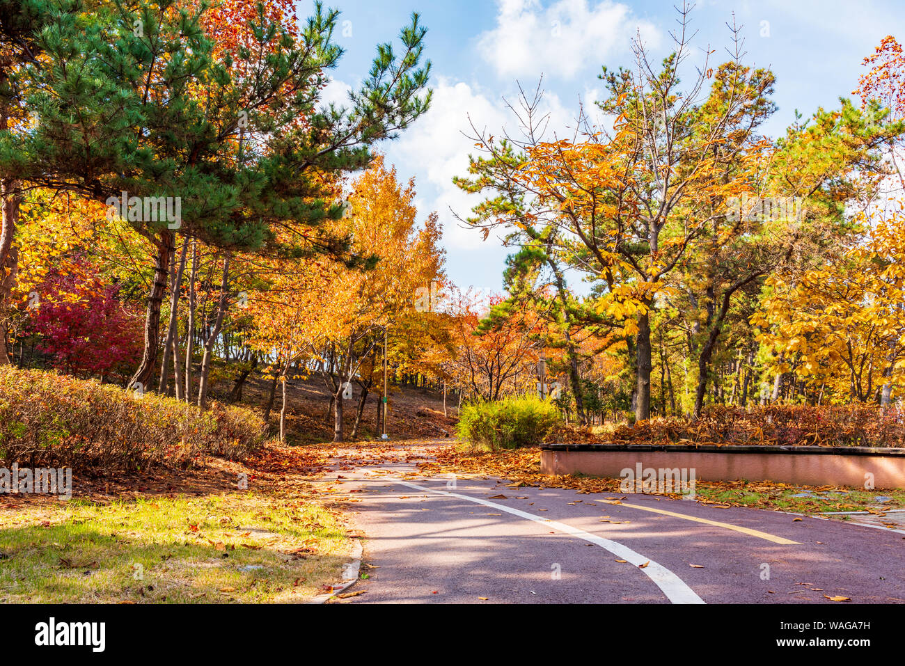 Seoul forest park hi-res stock photography and images - Alamy