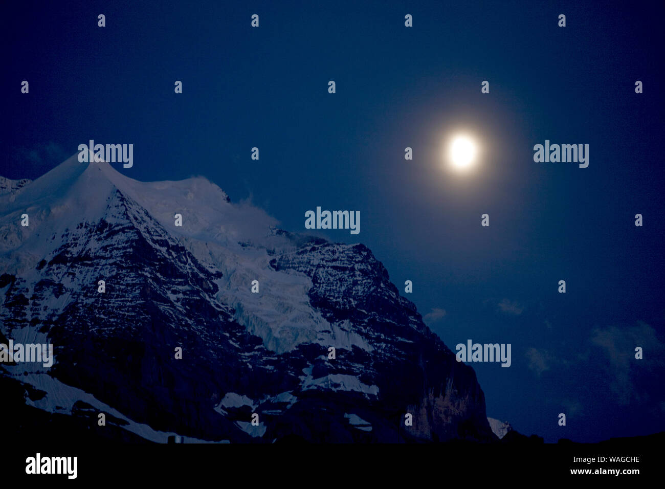 The Silberhorn, part of the Jungfrau massif, above the head of the ...