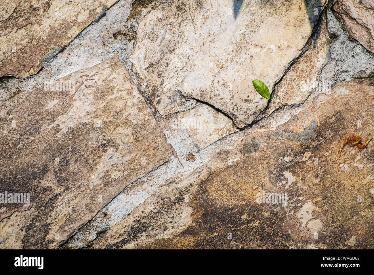 Texture of floor close up stone no pattern no brick Stock Photo - Alamy