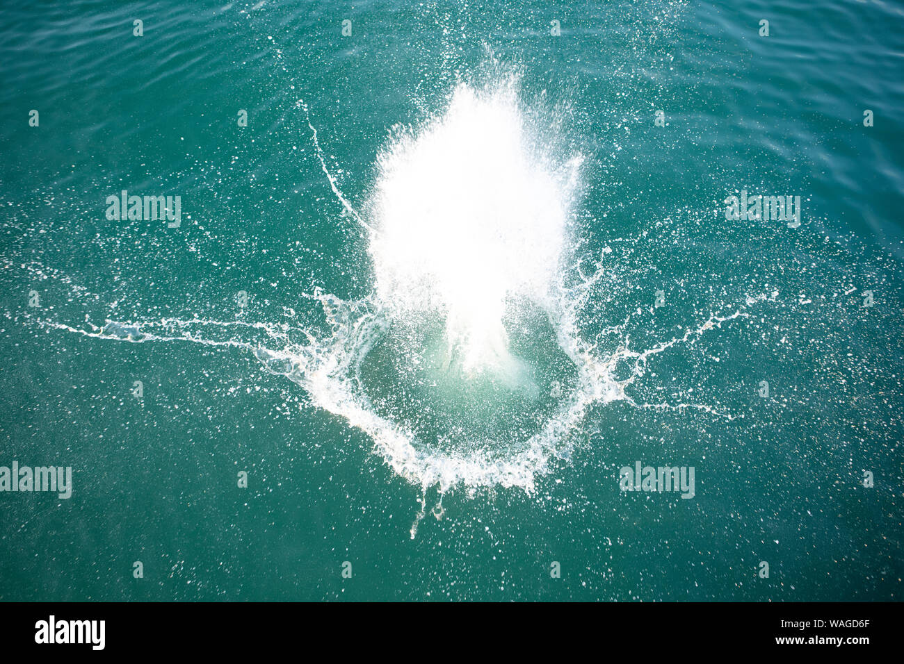 Big Water Splash