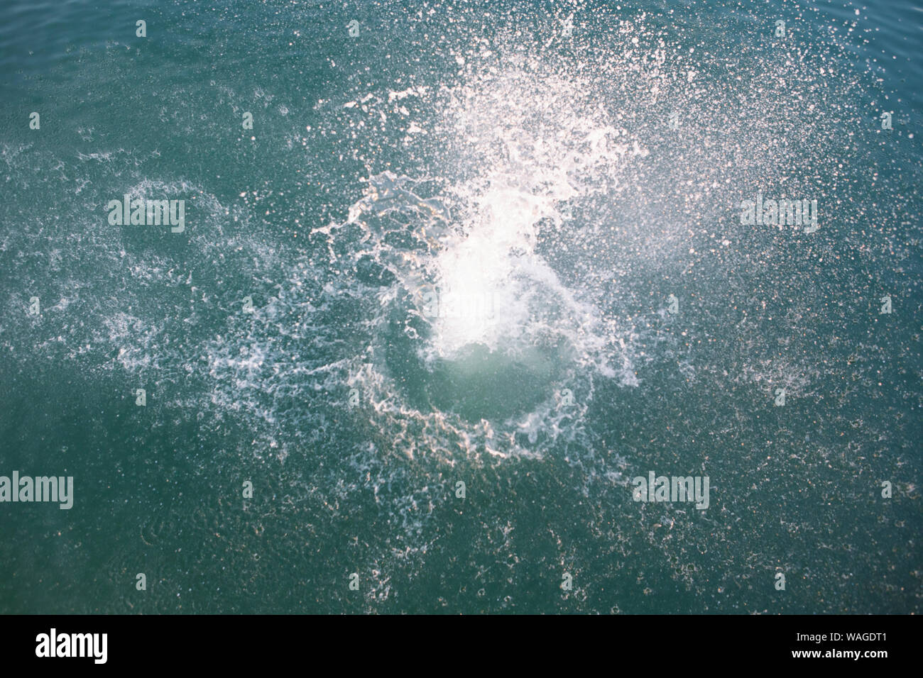 big white splash in lake water view from above Stock Photo - Alamy