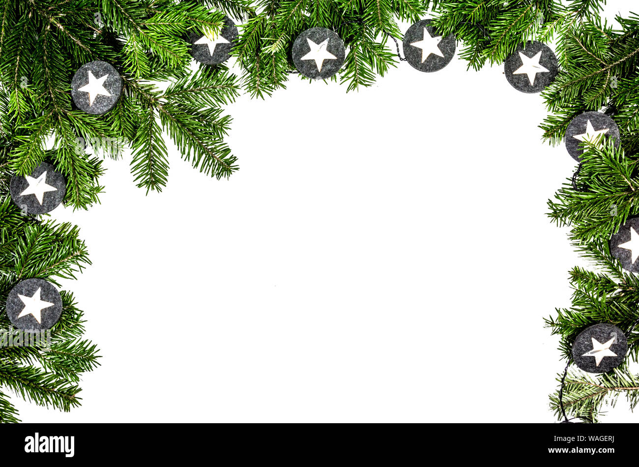 chritmas tree branch on the white background Stock Photo - Alamy