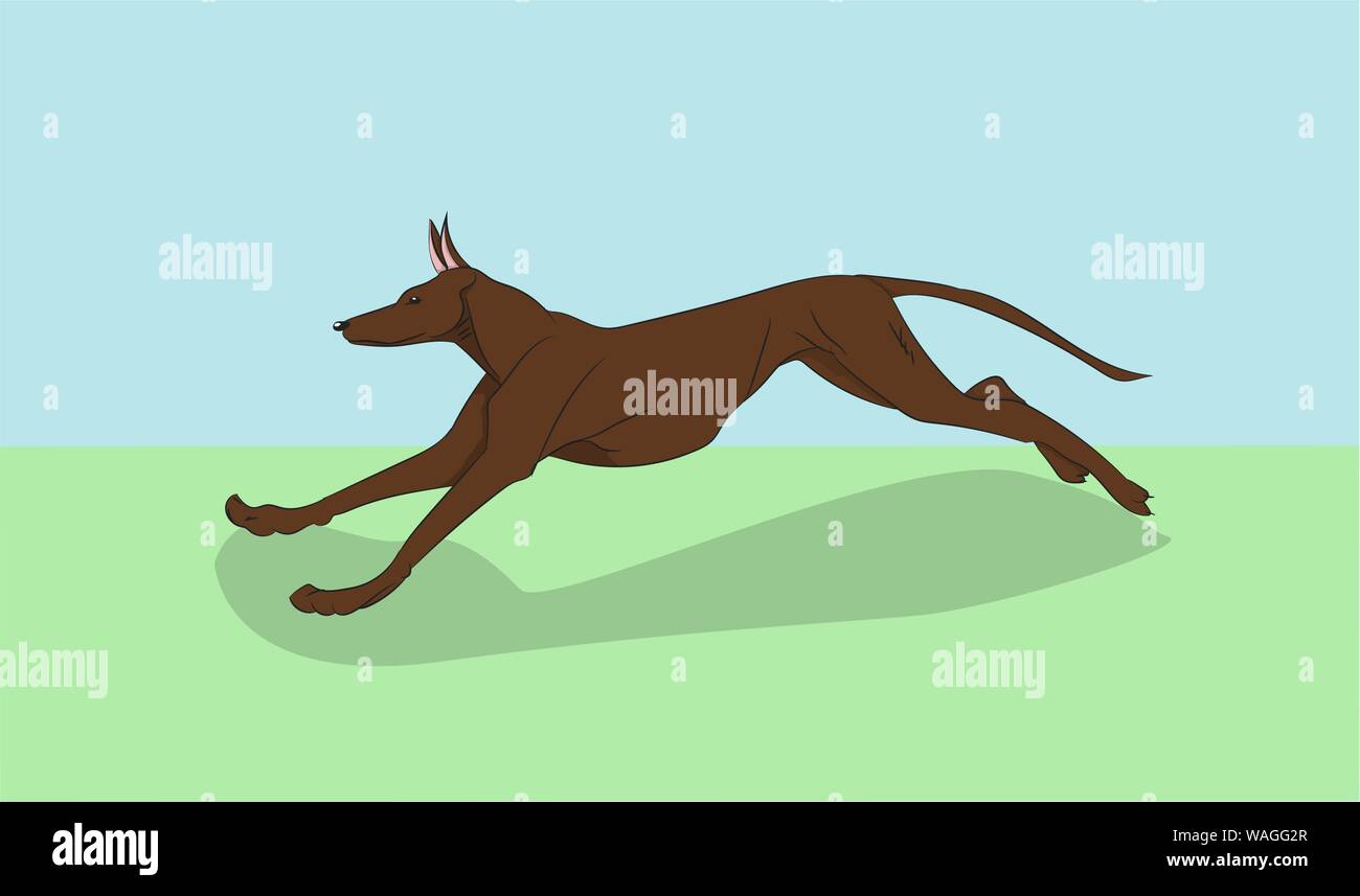 White and tan labrador Stock Vector Images - Alamy