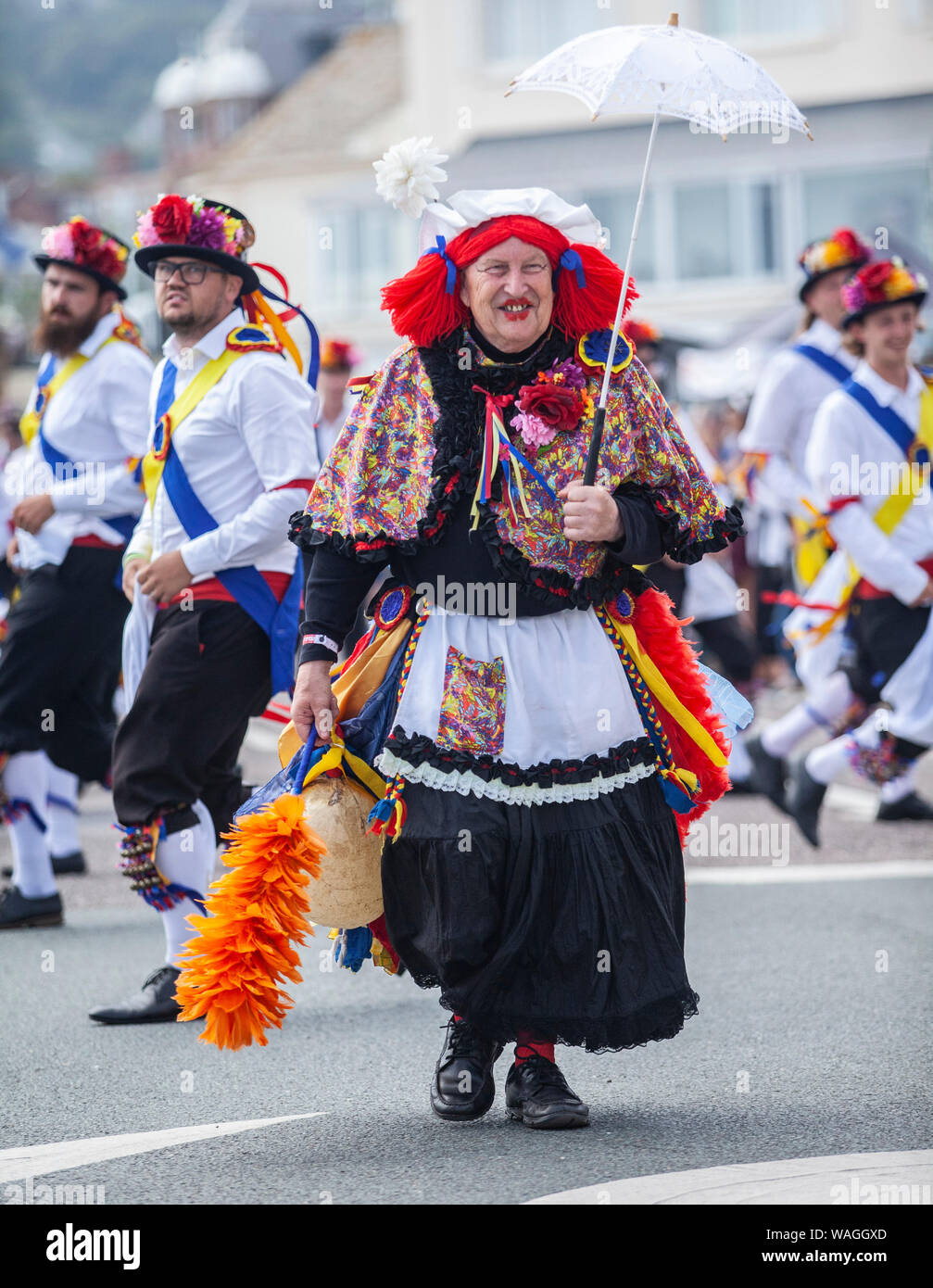 Morris Fool High Resolution Stock Photography and Images - Alamy