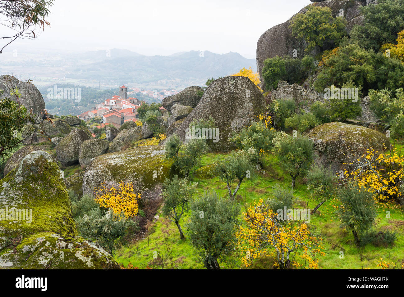 Monsanto park hi-res stock photography and images - Alamy