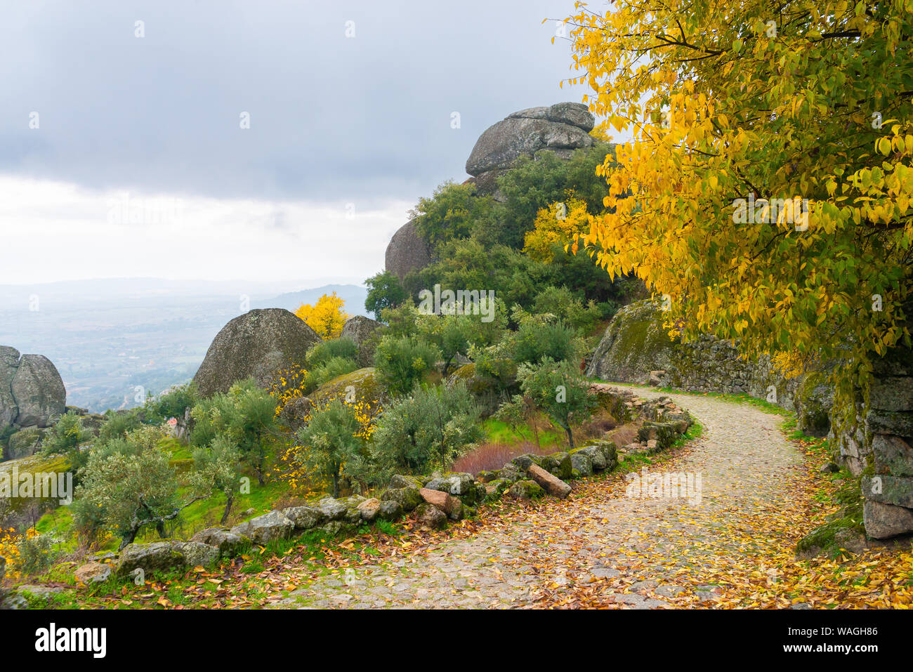 Monsanto park hi-res stock photography and images - Alamy
