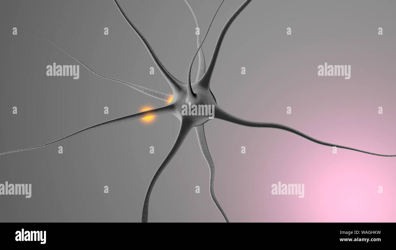 3D Illustration of a neuronal cell in the brain Stock Photo - Alamy