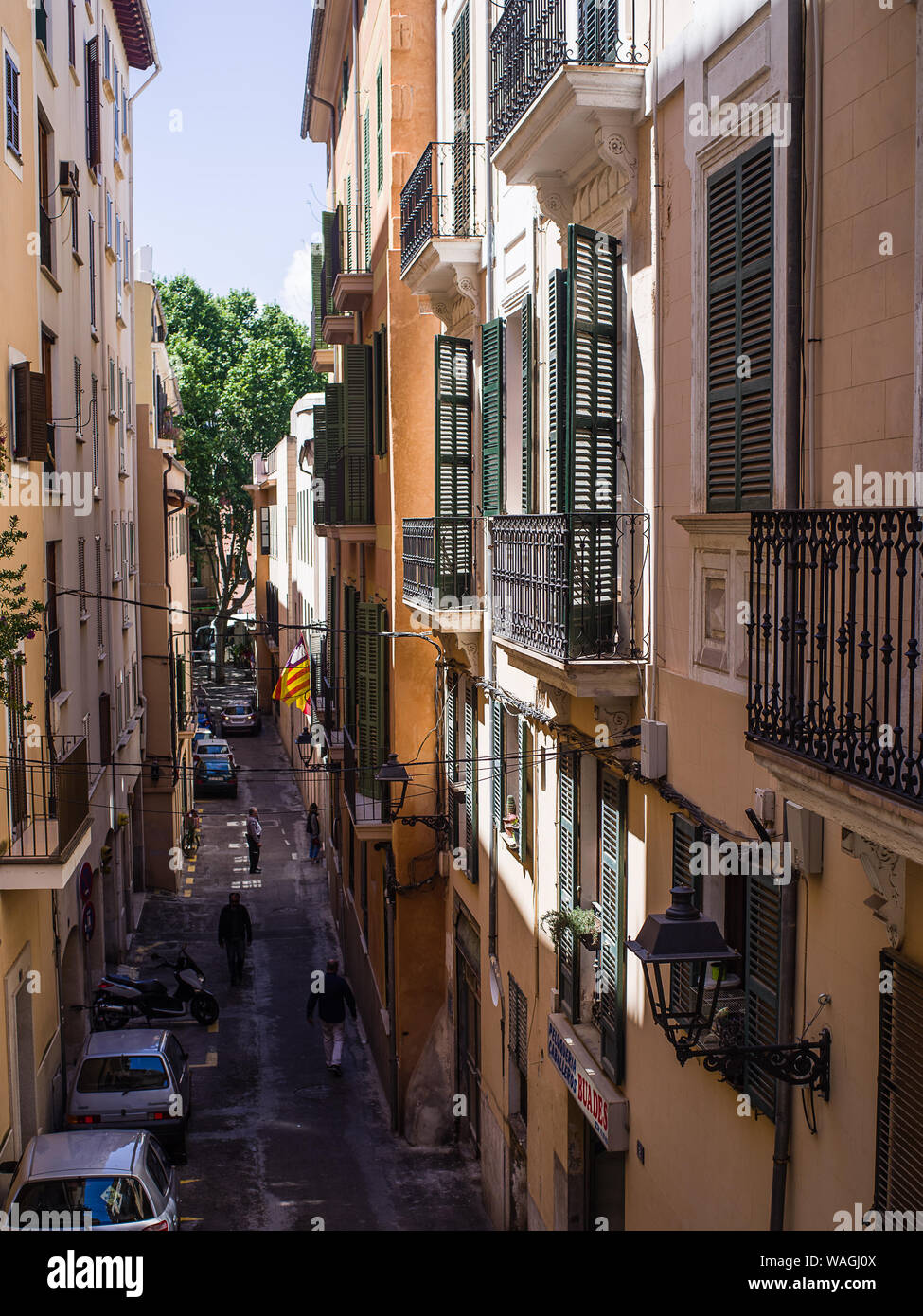 A picturesque street in Palma de Mallorca seen from above. Houses ...
