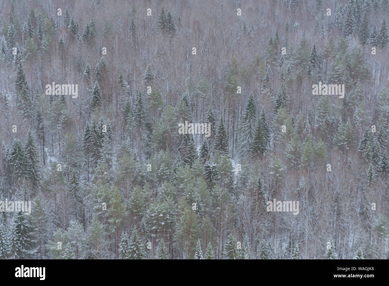 Subarctic landscape hi-res stock photography and images - Alamy