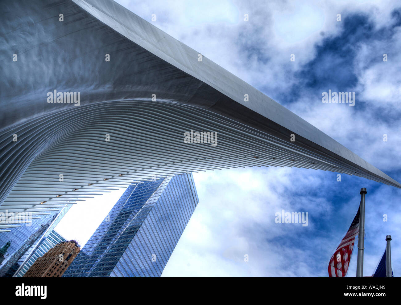 Center wing hi-res stock photography and images - Alamy