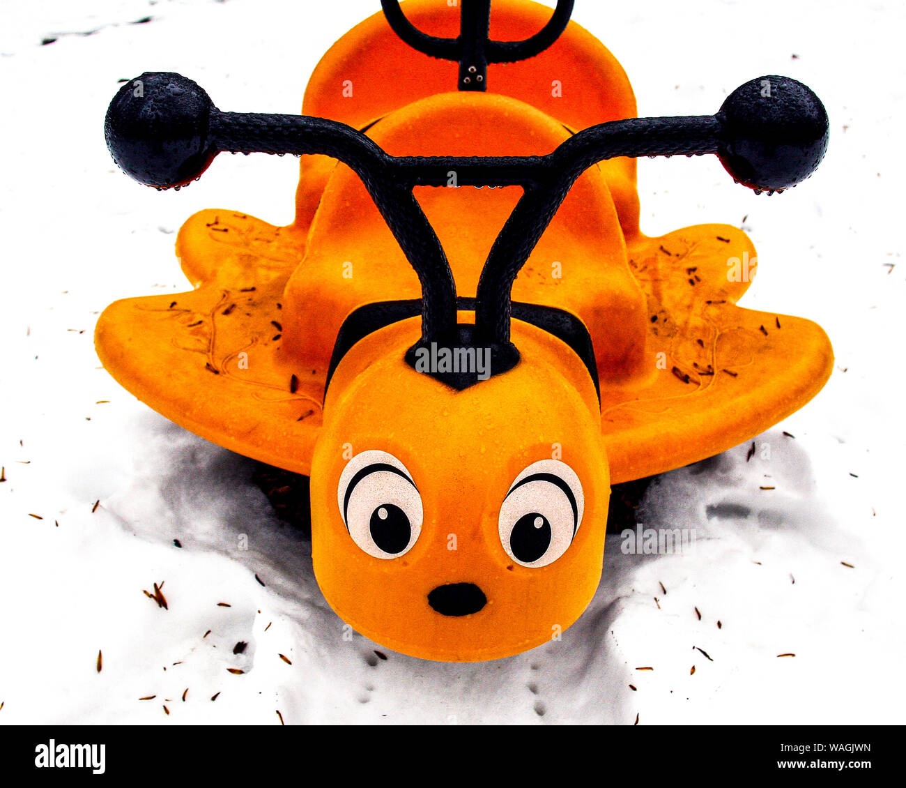 Bug snow hi-res stock photography and images - Alamy