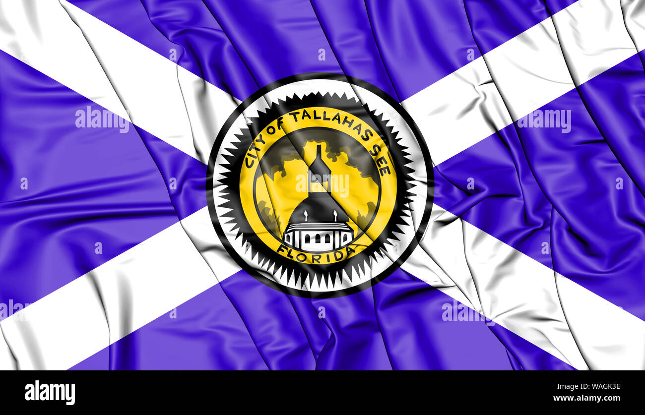 3D Flag of Tallahassee (Florida), USA. 3D Illustration Stock Photo - Alamy