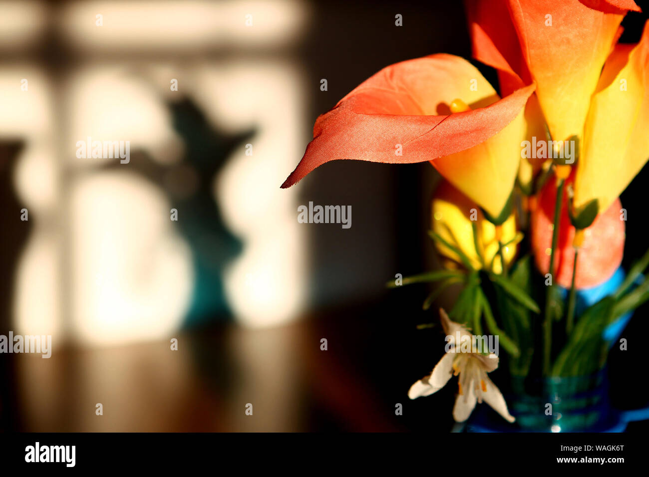 Bouquet of light hi-res stock photography and images - Alamy