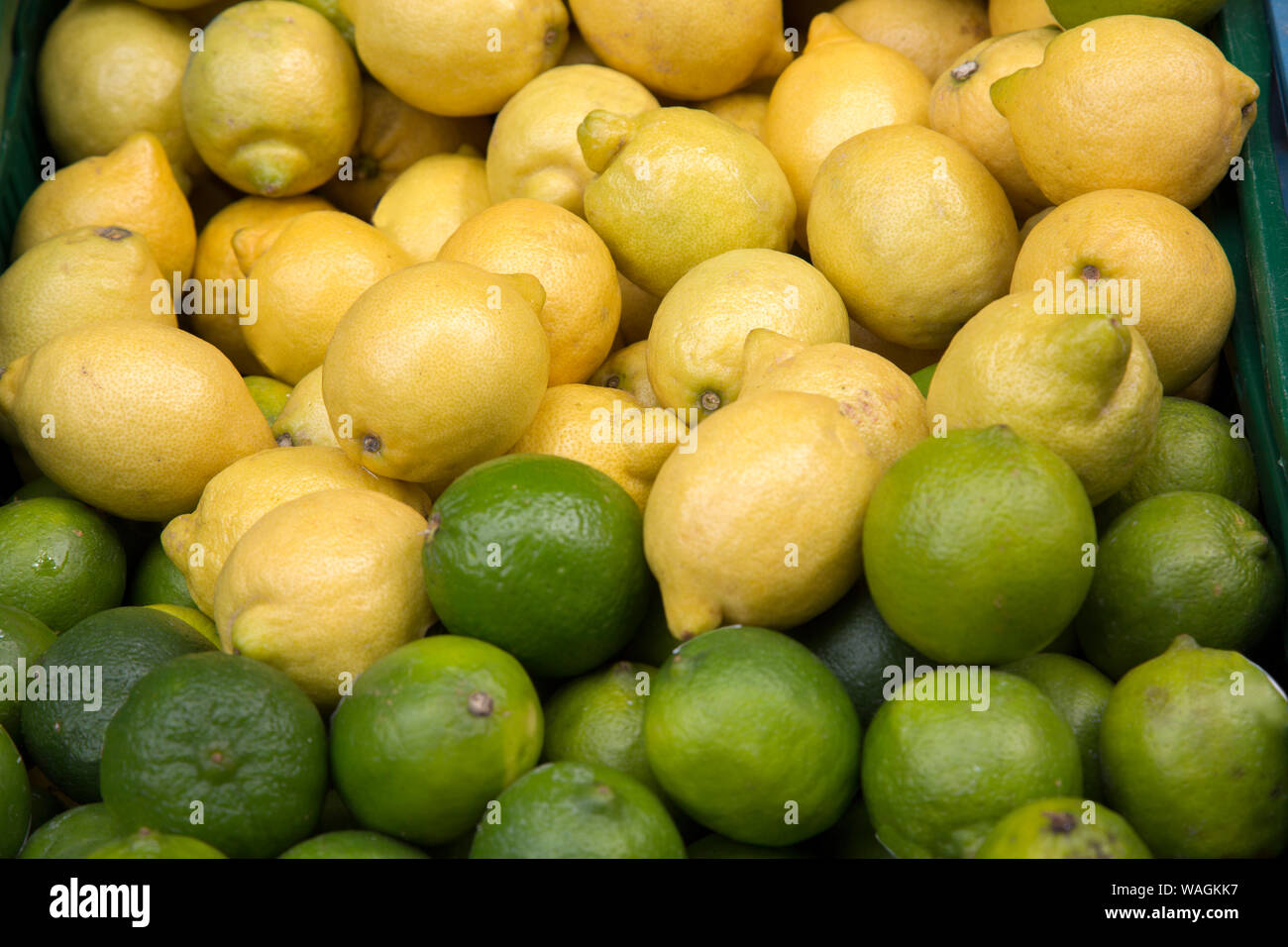 Lime and Lemon Fruit on Market Stall Stock Photo - Alamy