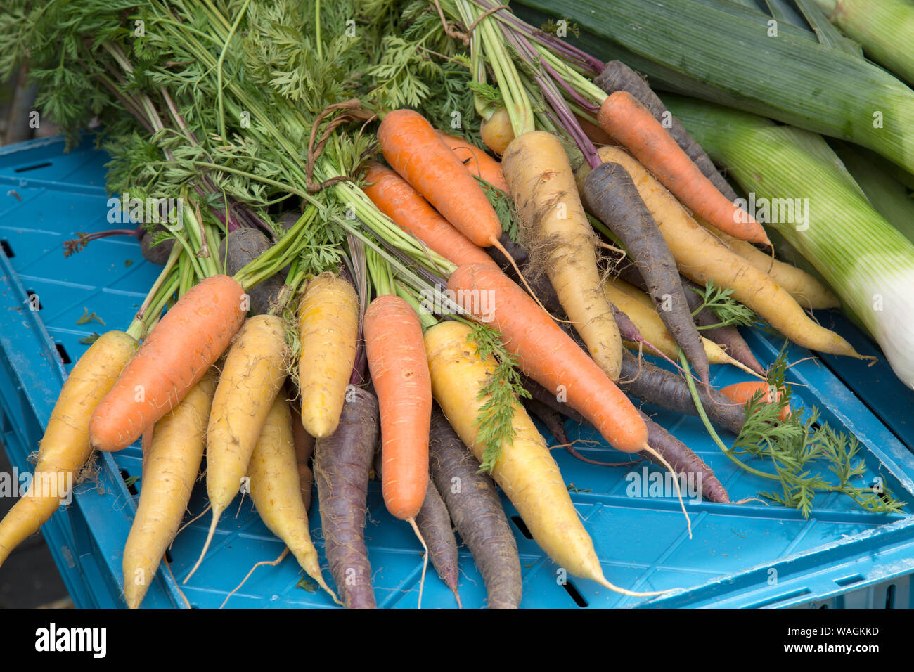 Carrot Vegetable on Market Stall Stock Photo - Alamy