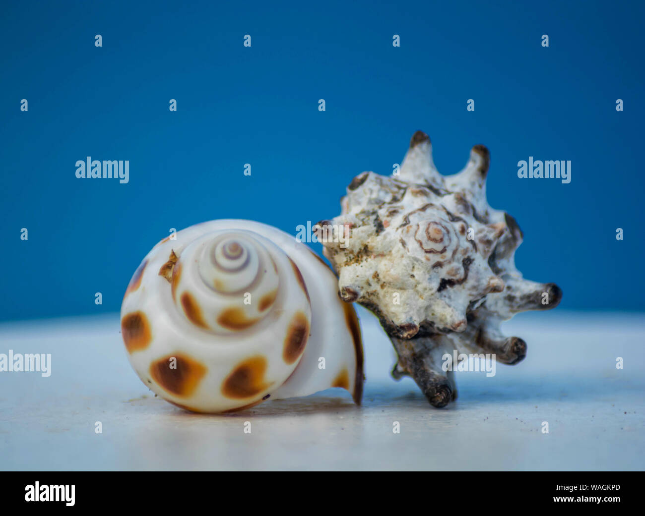 Diverse environment hi-res stock photography and images - Alamy