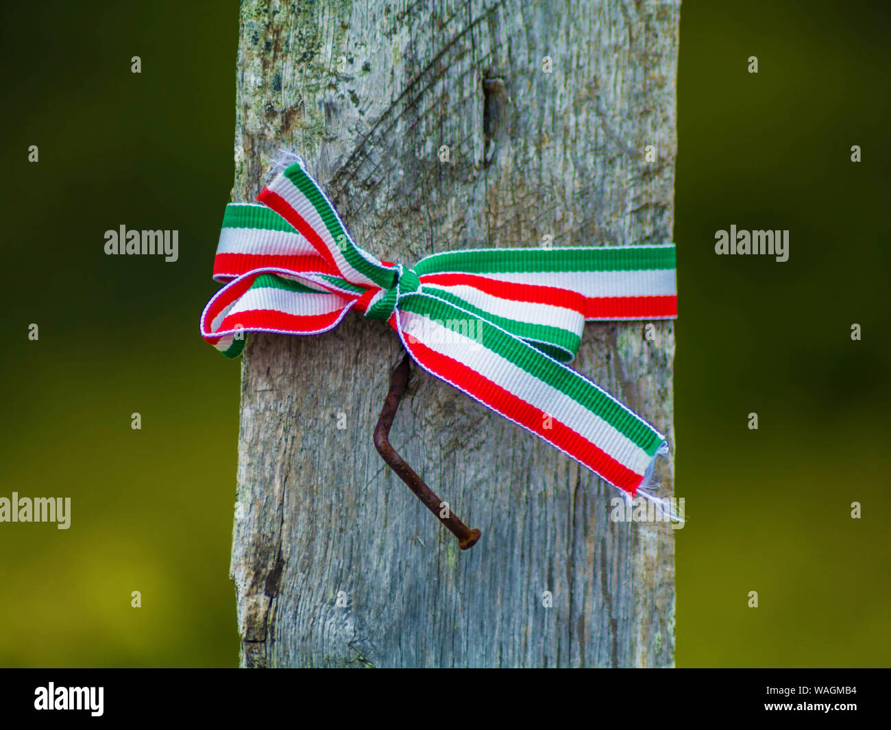 Ribbon bow in colors of Hungarian flag on the wooden beam with nice ...