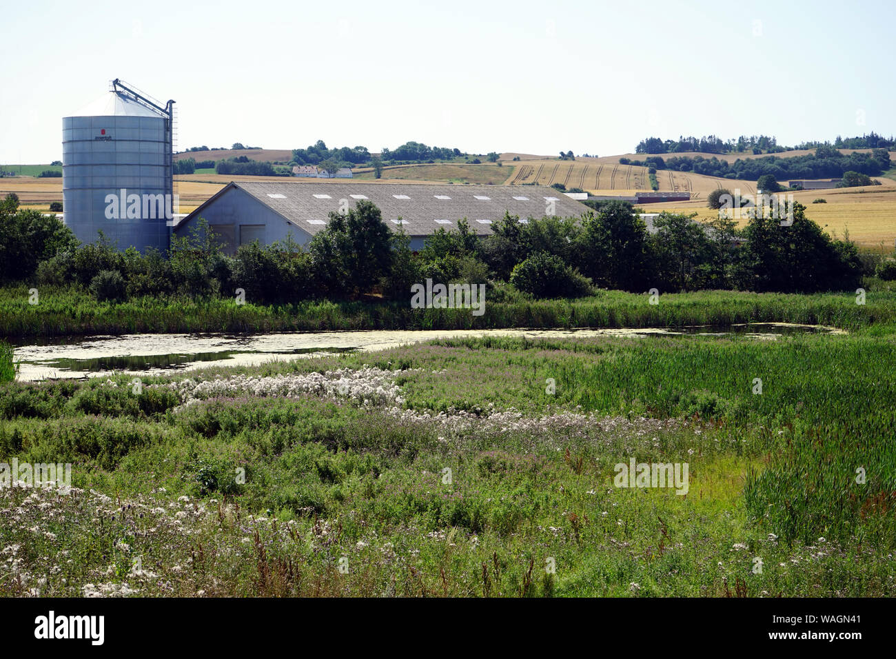 Farm and lake in Denmark Stock Photo - Alamy