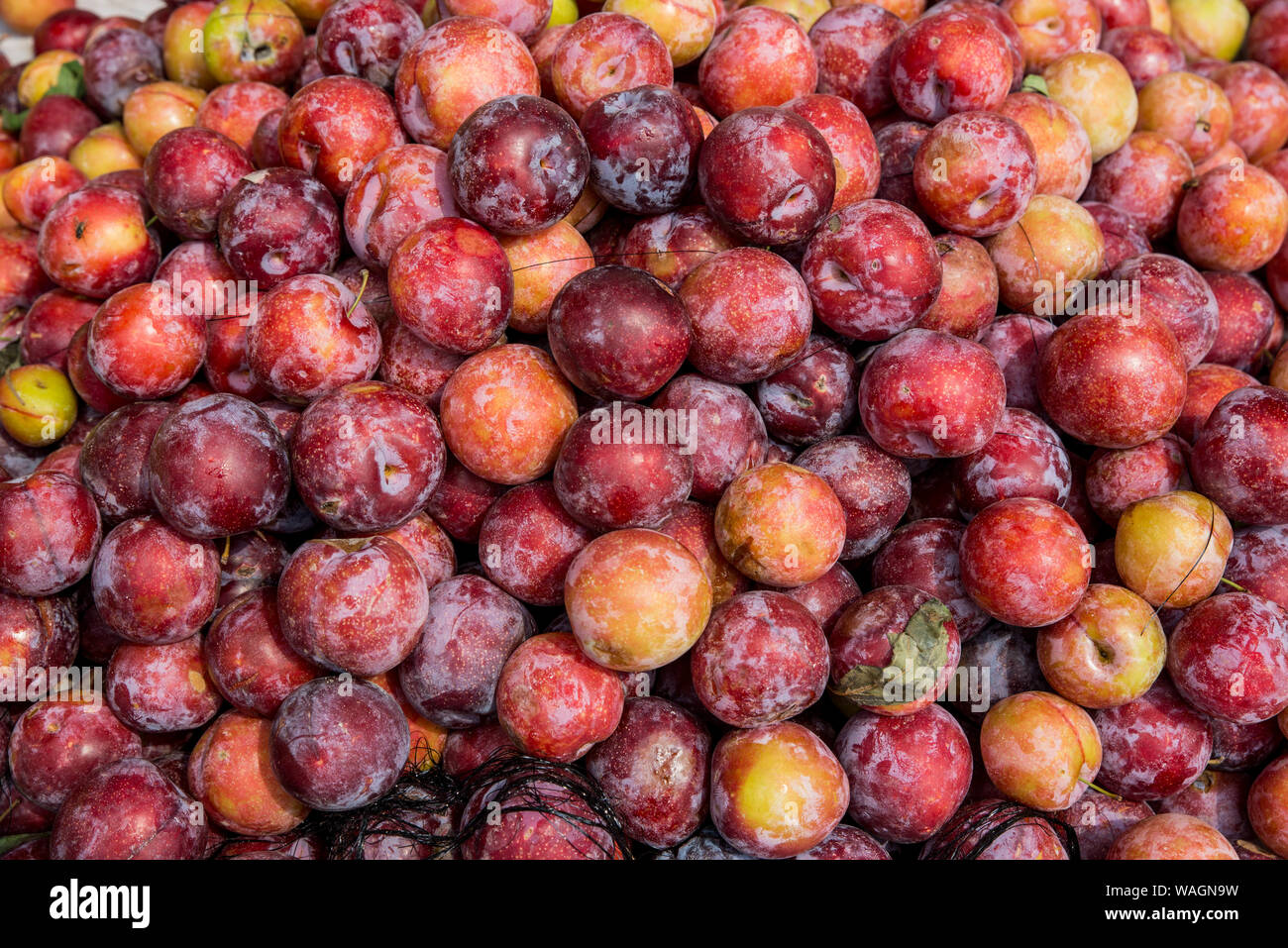 Plums Fruit stock photo top view, Challenging Fruit, Red color Fruit ...