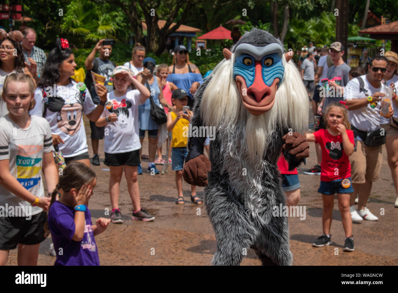 Lion king disney rafiki hi-res stock photography and images - Alamy