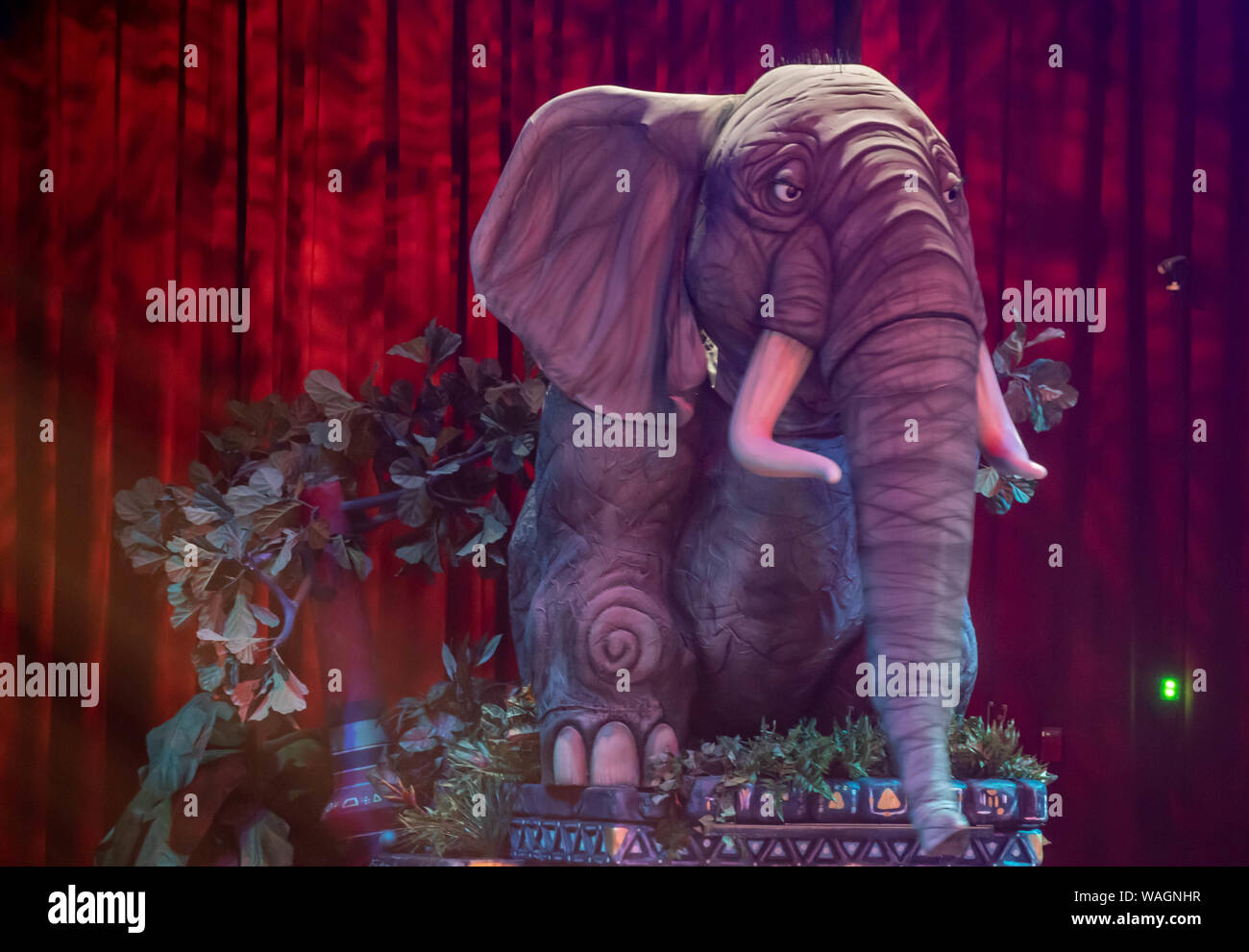 Orlando, Florida. August 14, 2019. Elephant in Festival of the Lion ...