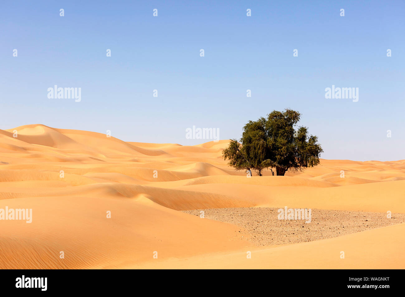 Cinnamon Desert, desert between Mahout and Duqm, Oman Stock Photo - Alamy