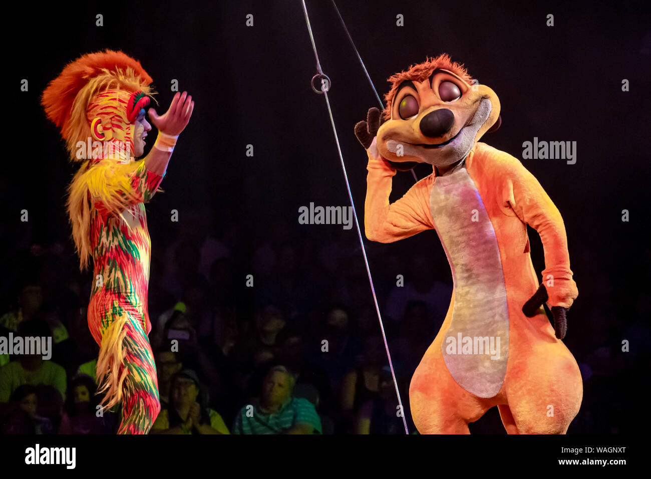Orlando, Florida. August 14, 2019. Monkey acrobat and Timon in Lion ...