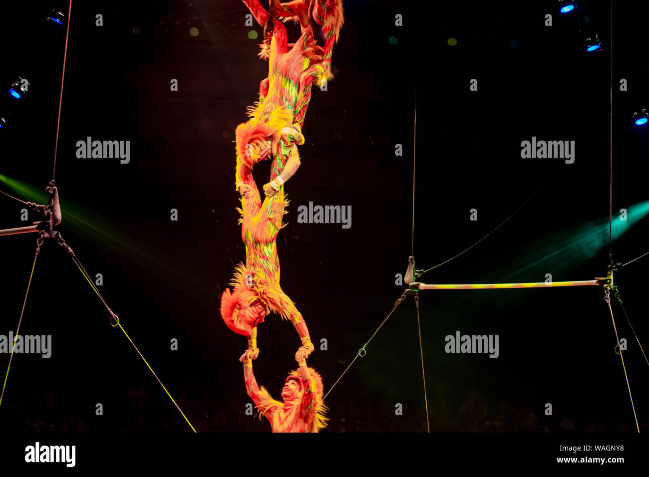Orlando, Florida. August 14, 2019. Monkey acrobats in Lion King ...