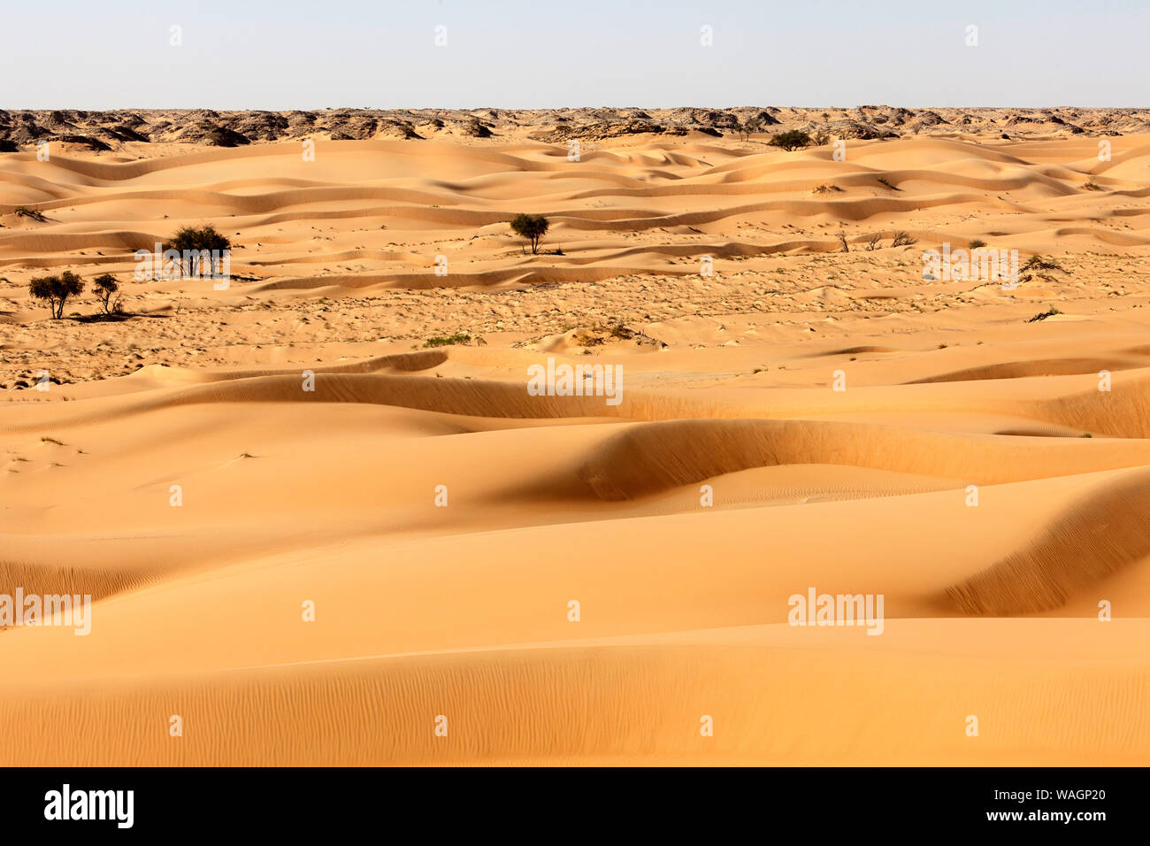 Duqm hi-res stock photography and images - Alamy